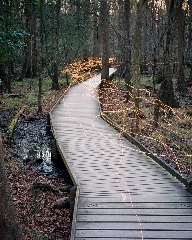Landscapes — Center for Fine Art Photography