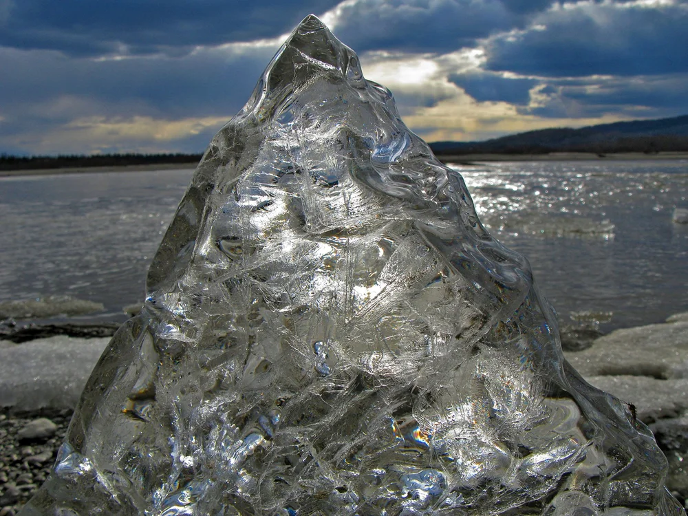 (Un)Natural Cycles Exhibition — Center for Fine Art Photography