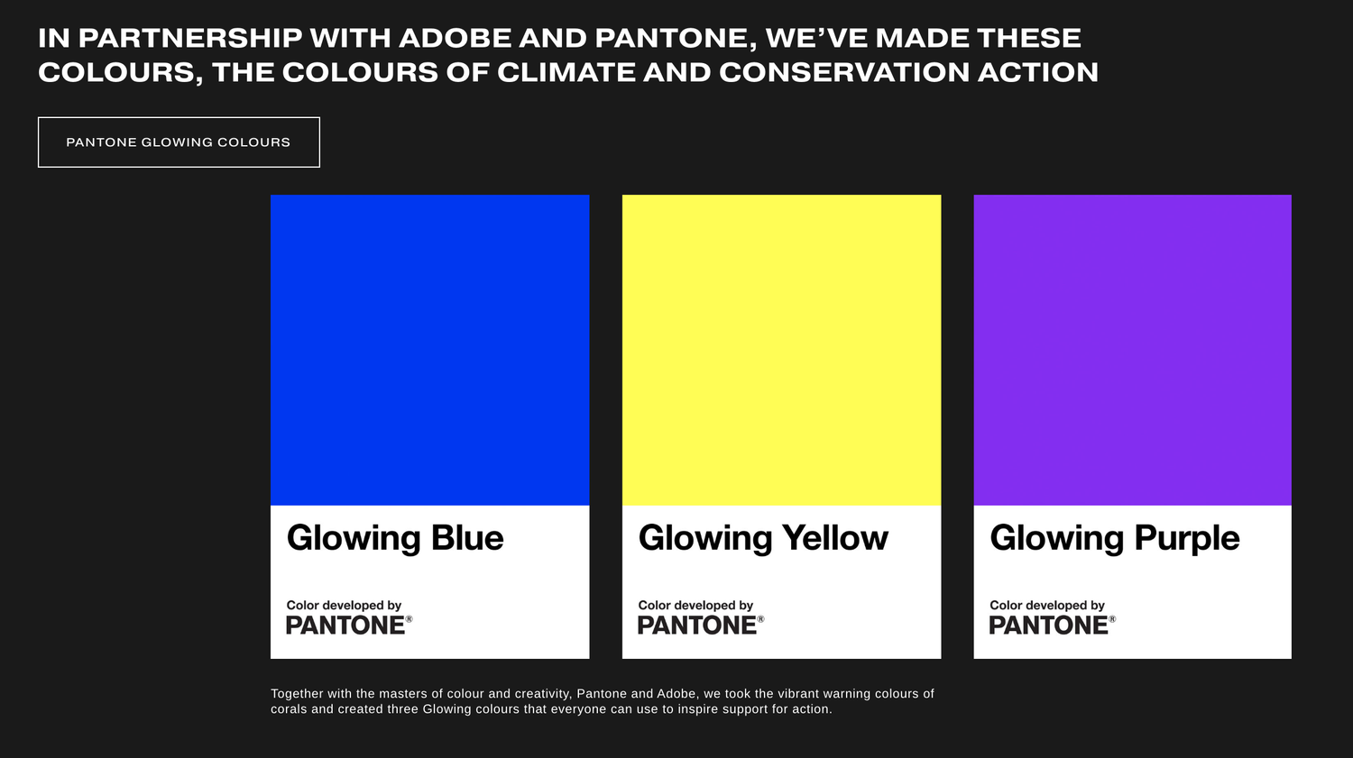 Greenwashed Conservation and Pantone's Colour of the Year — Little Fox ...