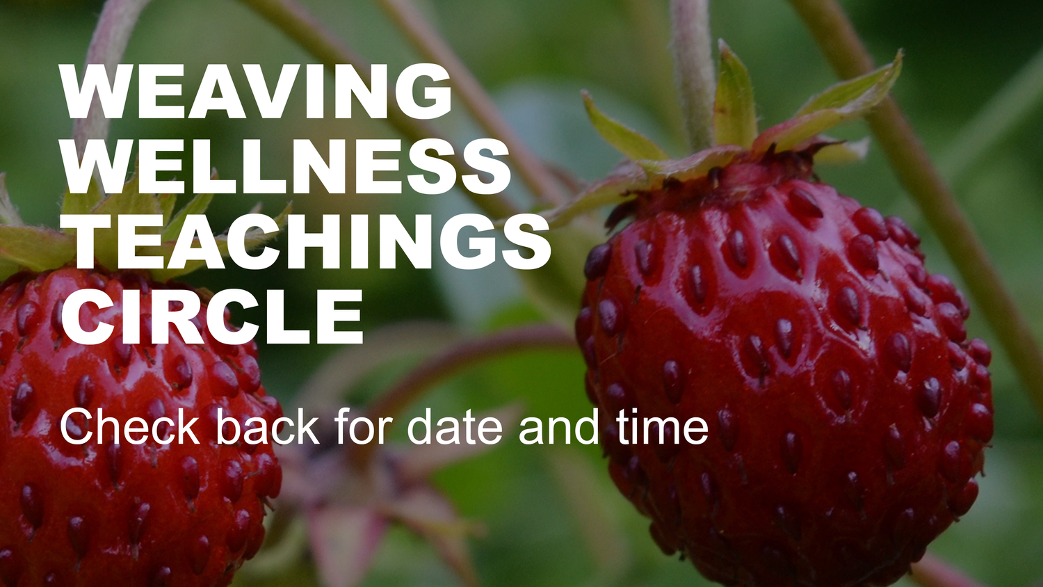 Low-Fee Clinic — Weaving Wellness Centre