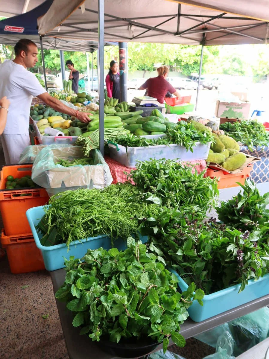 Top 6 Markets in Darwin, Australia! — Jenny Sandiford