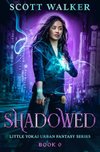 Author Interview Scott Walker — Jenny Sandiford