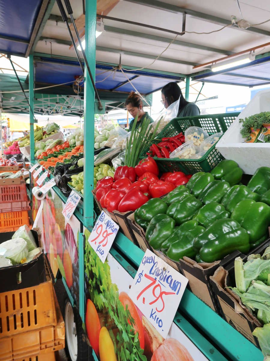 Top 6 Markets in Darwin, Australia! — Jenny Sandiford