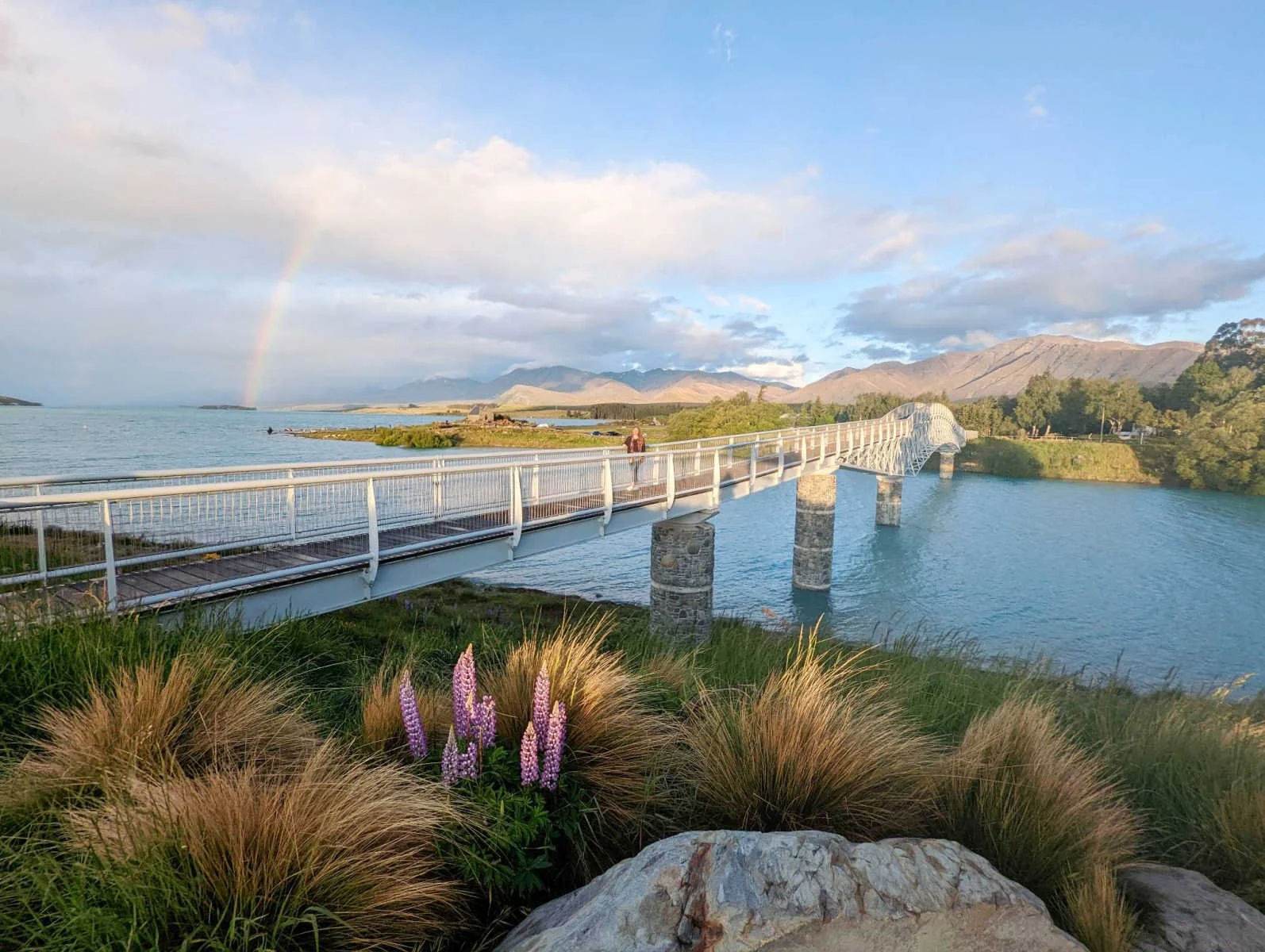 3 Day Trip Lake Tekapo New Zealand! — Jenny Sandiford