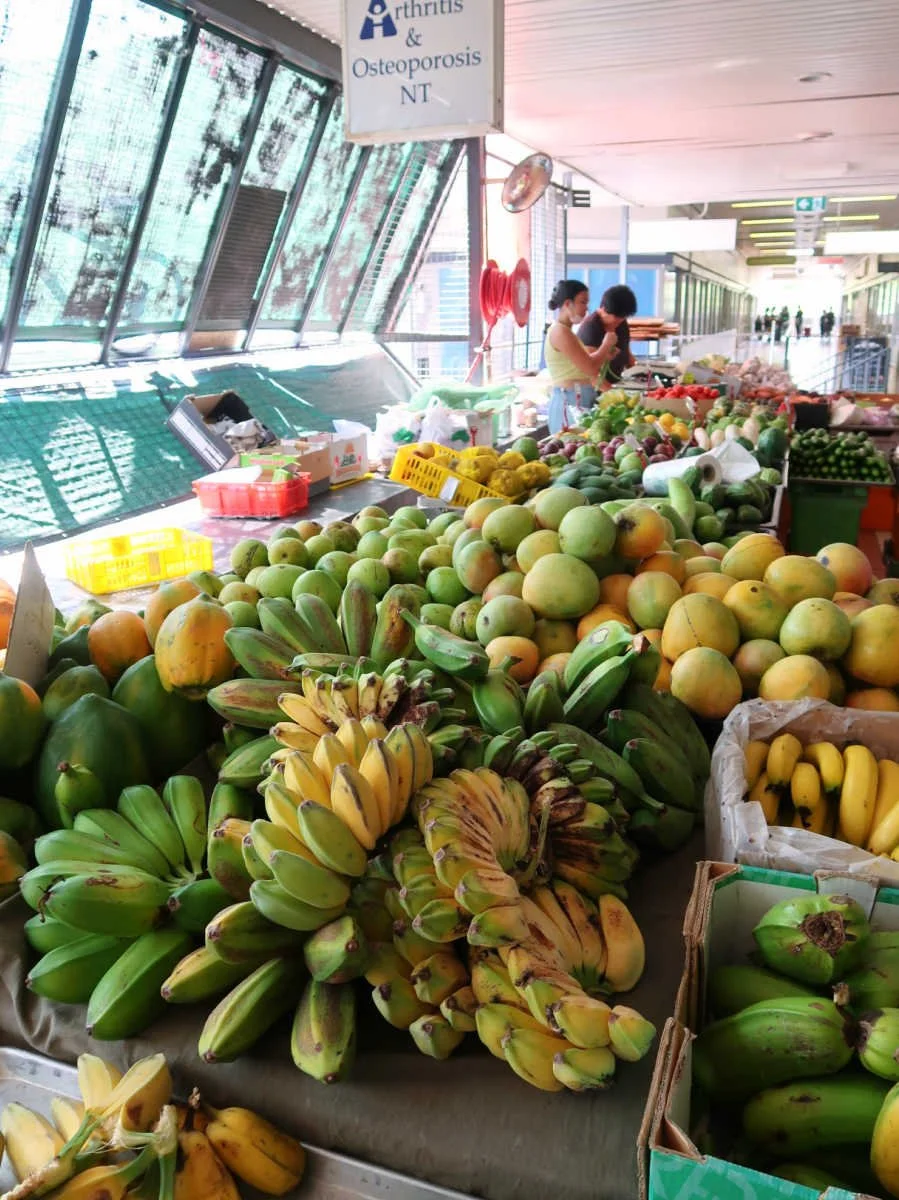 Top 6 Markets in Darwin, Australia! — Jenny Sandiford