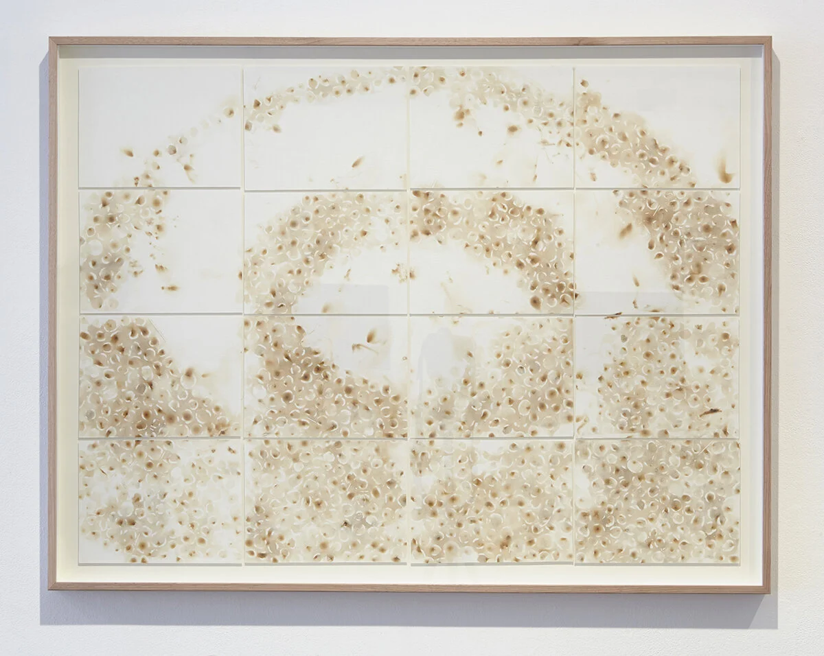 A Memory Mop Projects 2014 — Harriet Body