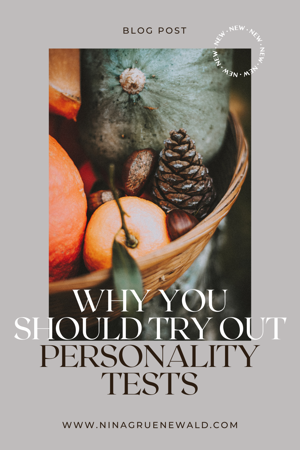 I took 3 personality tests and this is what I learned — Nina Gruenewald