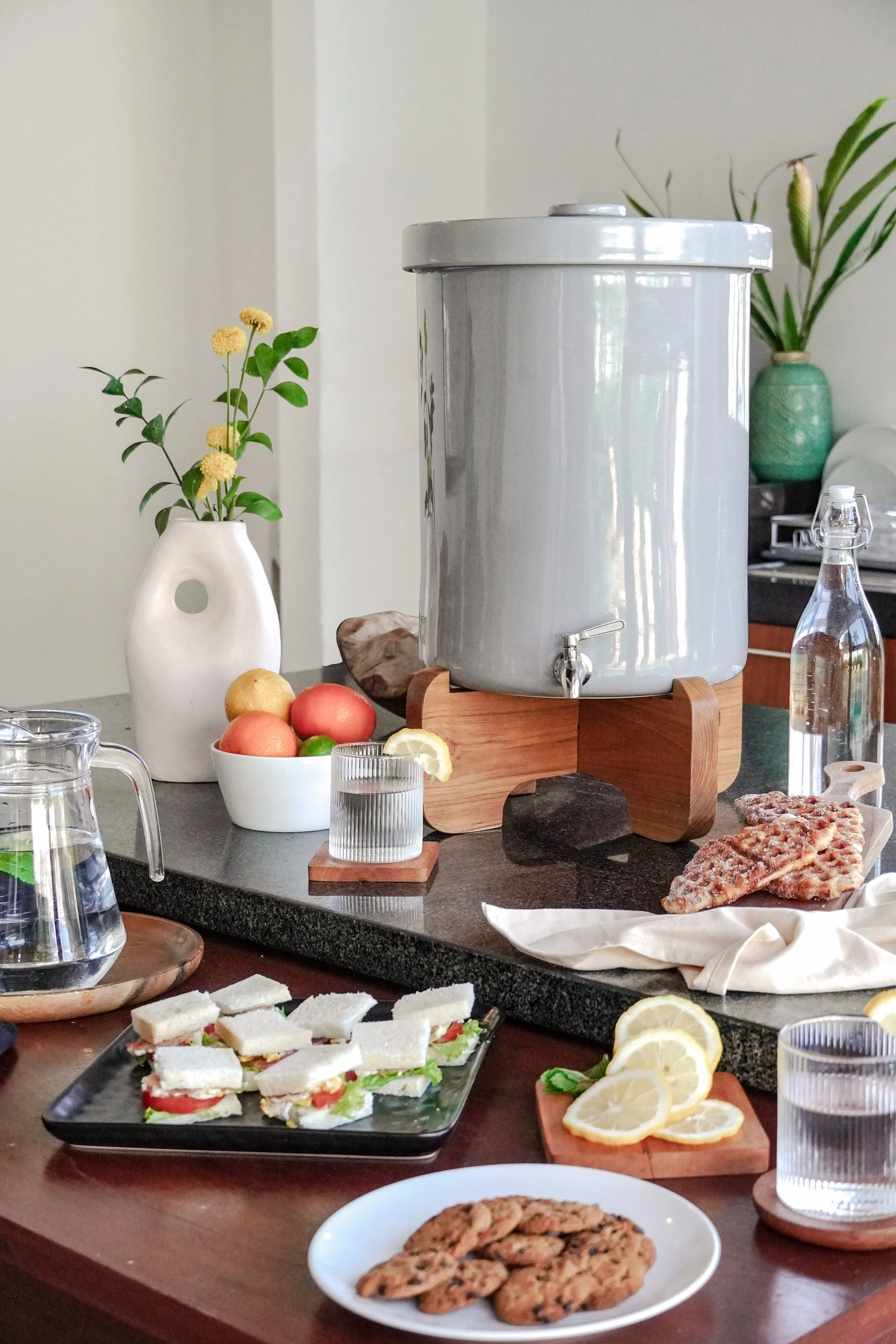 TERRA - A Natural Water Filter That’s Making Big Waves — The Fearless Nomad