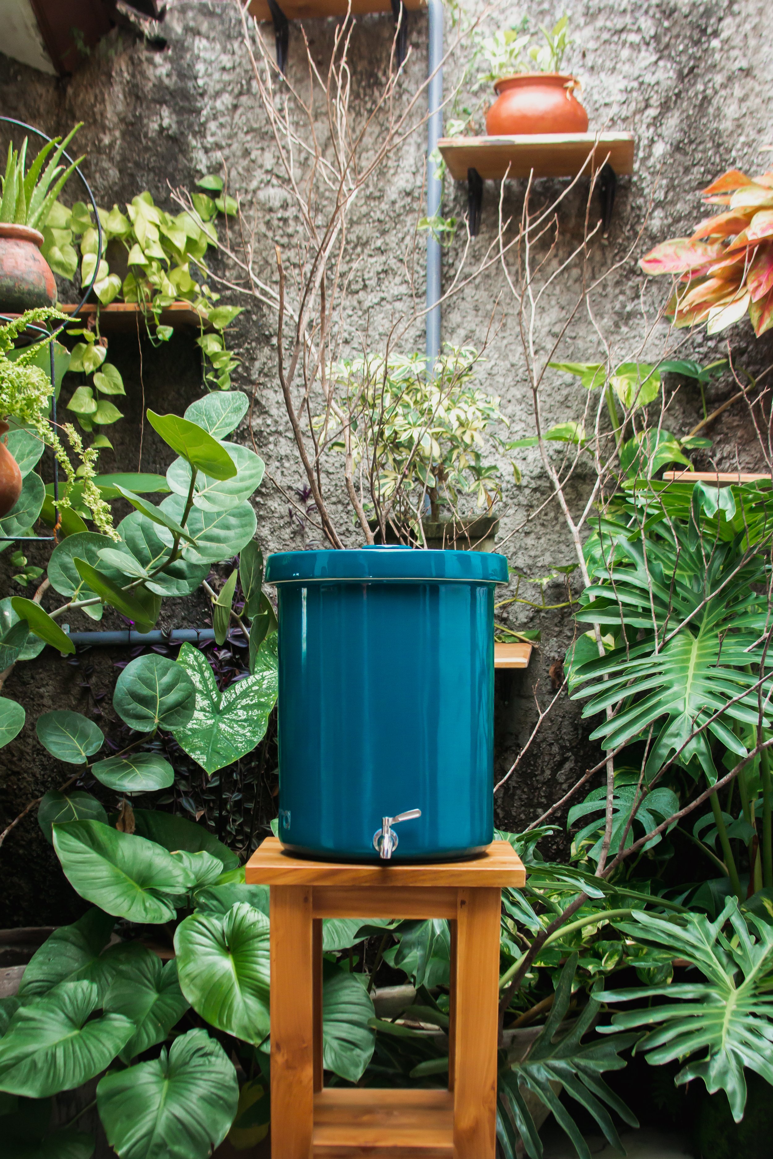 TERRA - A Natural Water Filter That’s Making Big Waves — The Fearless Nomad