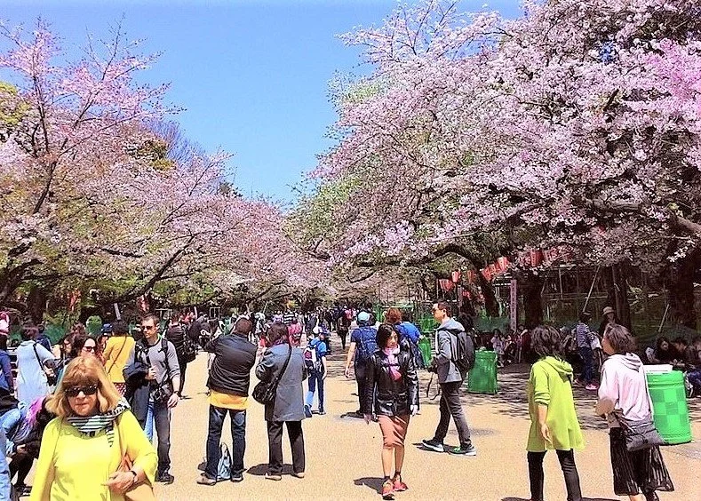 Tokyo Named One of the Top Ten Cities in the World to Visit by The ...