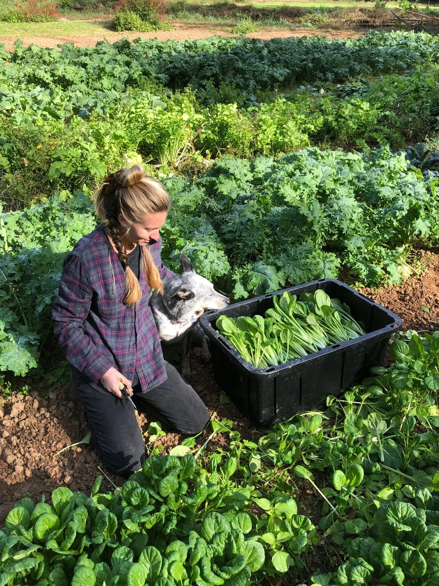 Farm Partners — Equal Plates Project