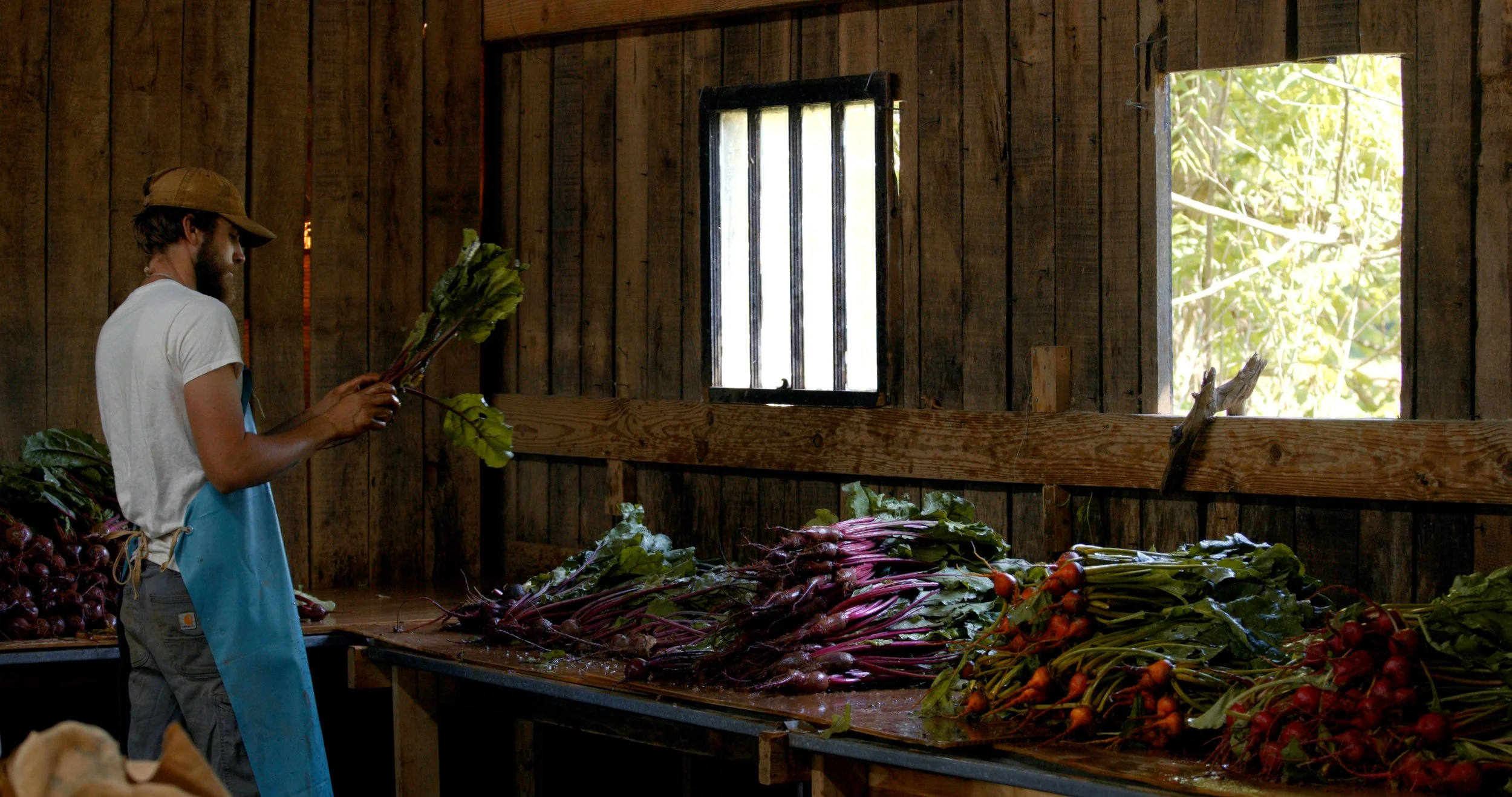 Farm Partners — Equal Plates Project