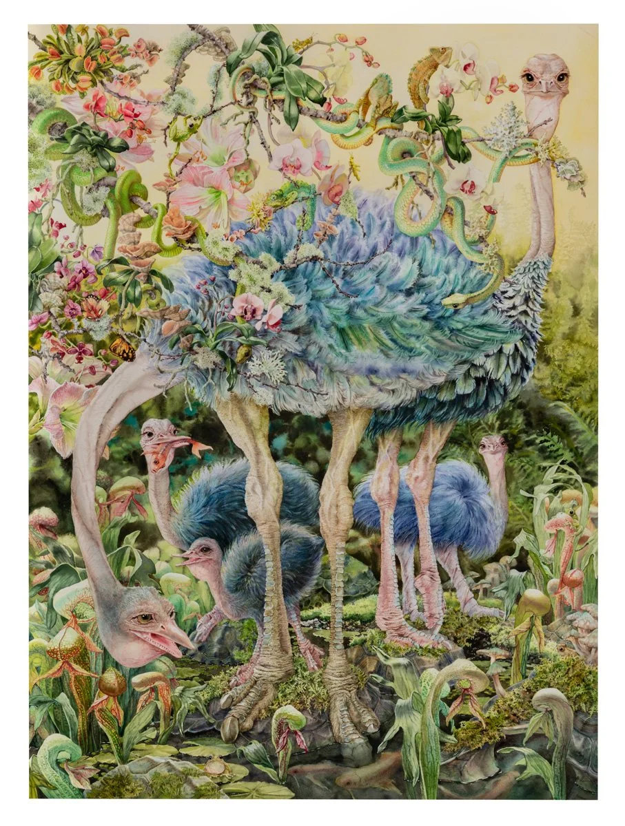 Stephanie Anderson — Bernay Fine Art
