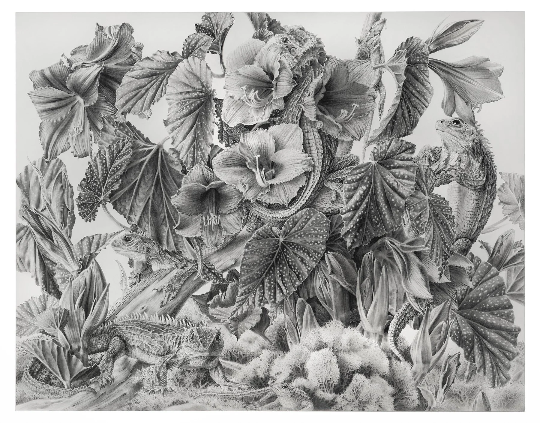 Stephanie Anderson — Bernay Fine Art