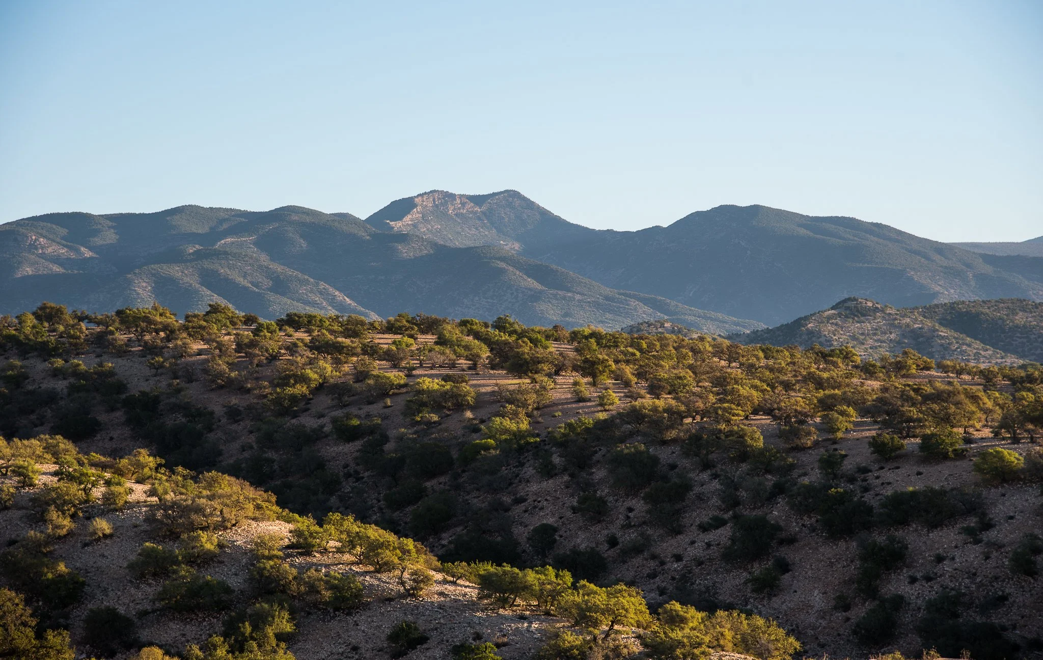 La Vida Surf - Invigorating Surf and Nature Retreats in Morocco
