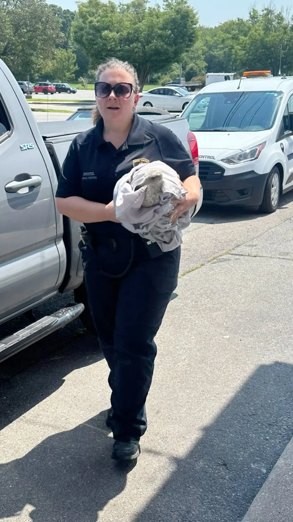 Riccotti’s Sandwich Shop | Sub Shops & Deli Sandwich Catering In ...