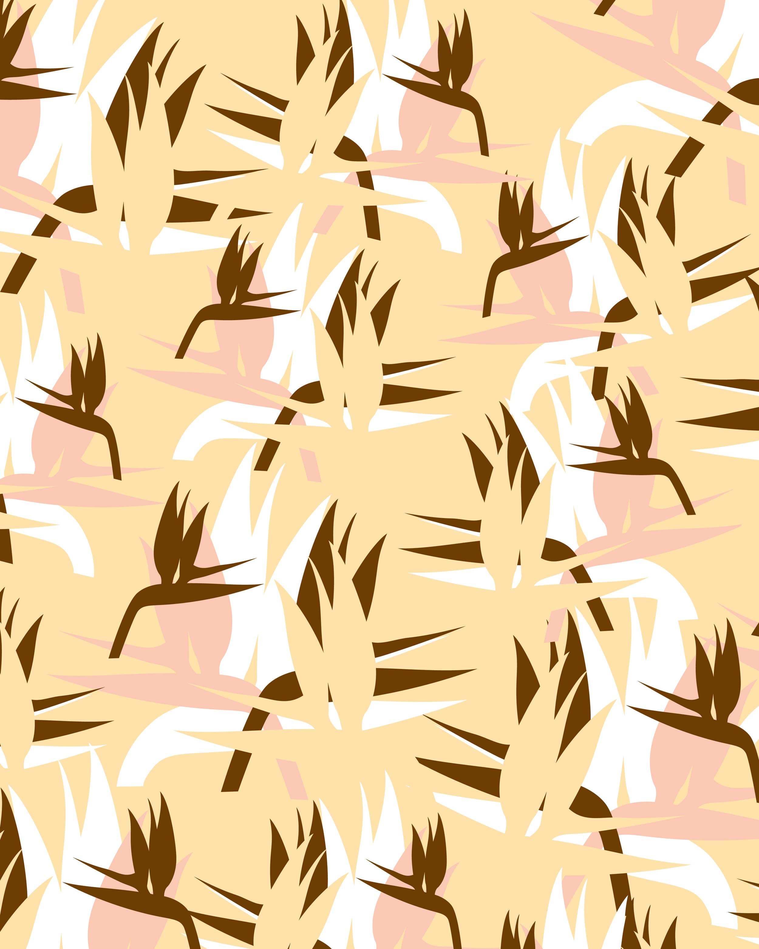 Gallery 1 — Kelly Fletcher