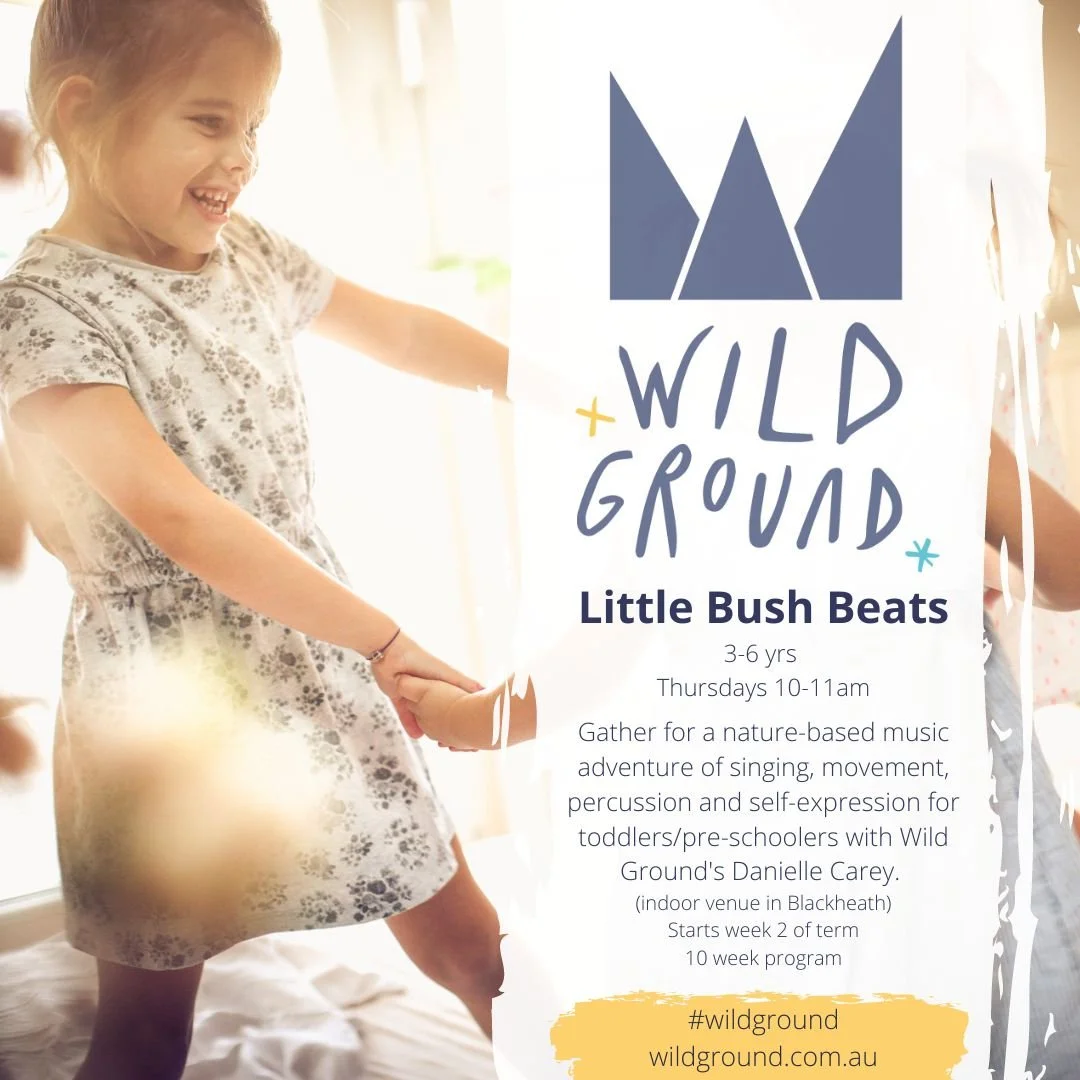 Little Bush Beats — Wild Ground Creative Adventures