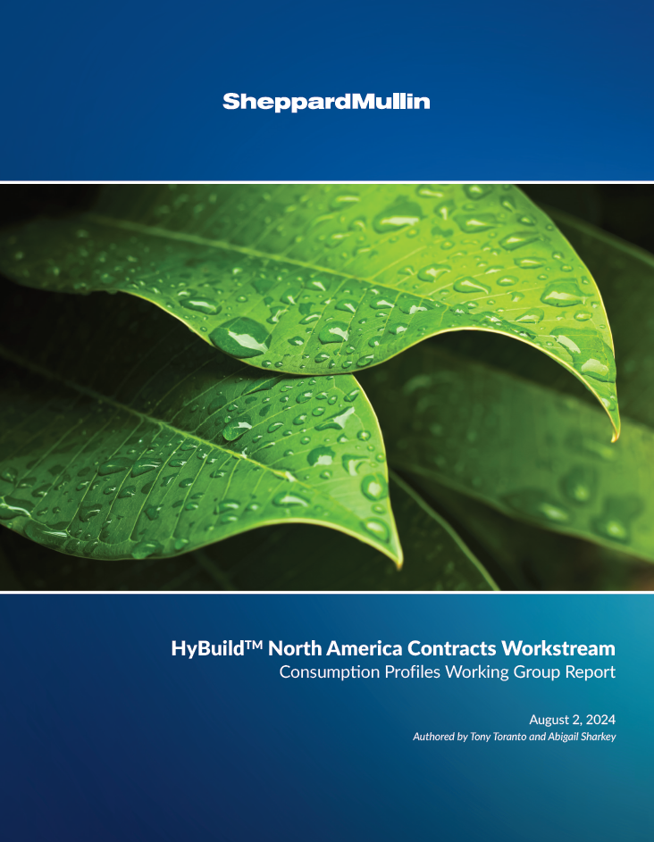 Report | HyBuild™ North America Contracts Workstream Consumption ...