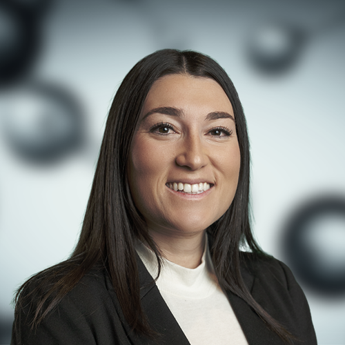 Team — GREEN HYDROGEN COALITION