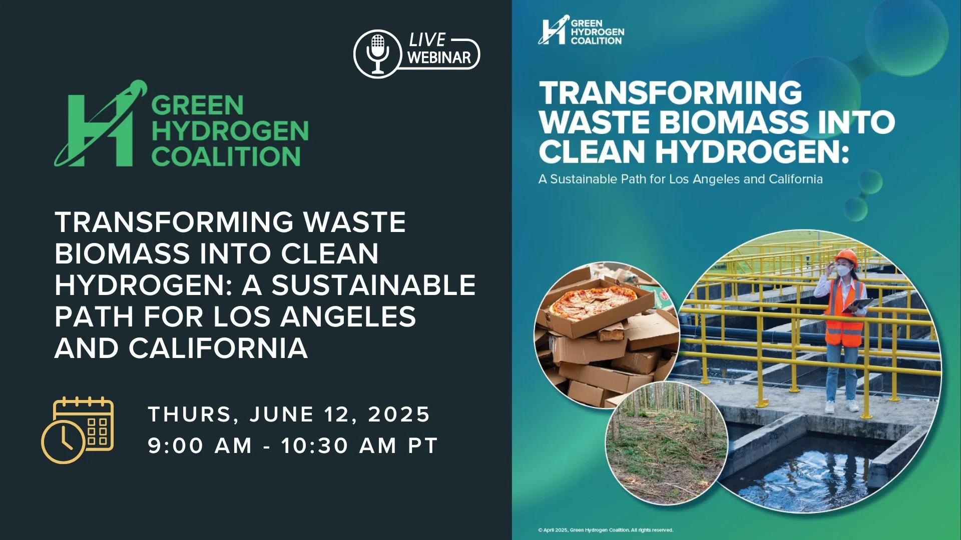 Webinar | Transforming Waste Biomass Into Clean Hydrogen: A Sustainable ...