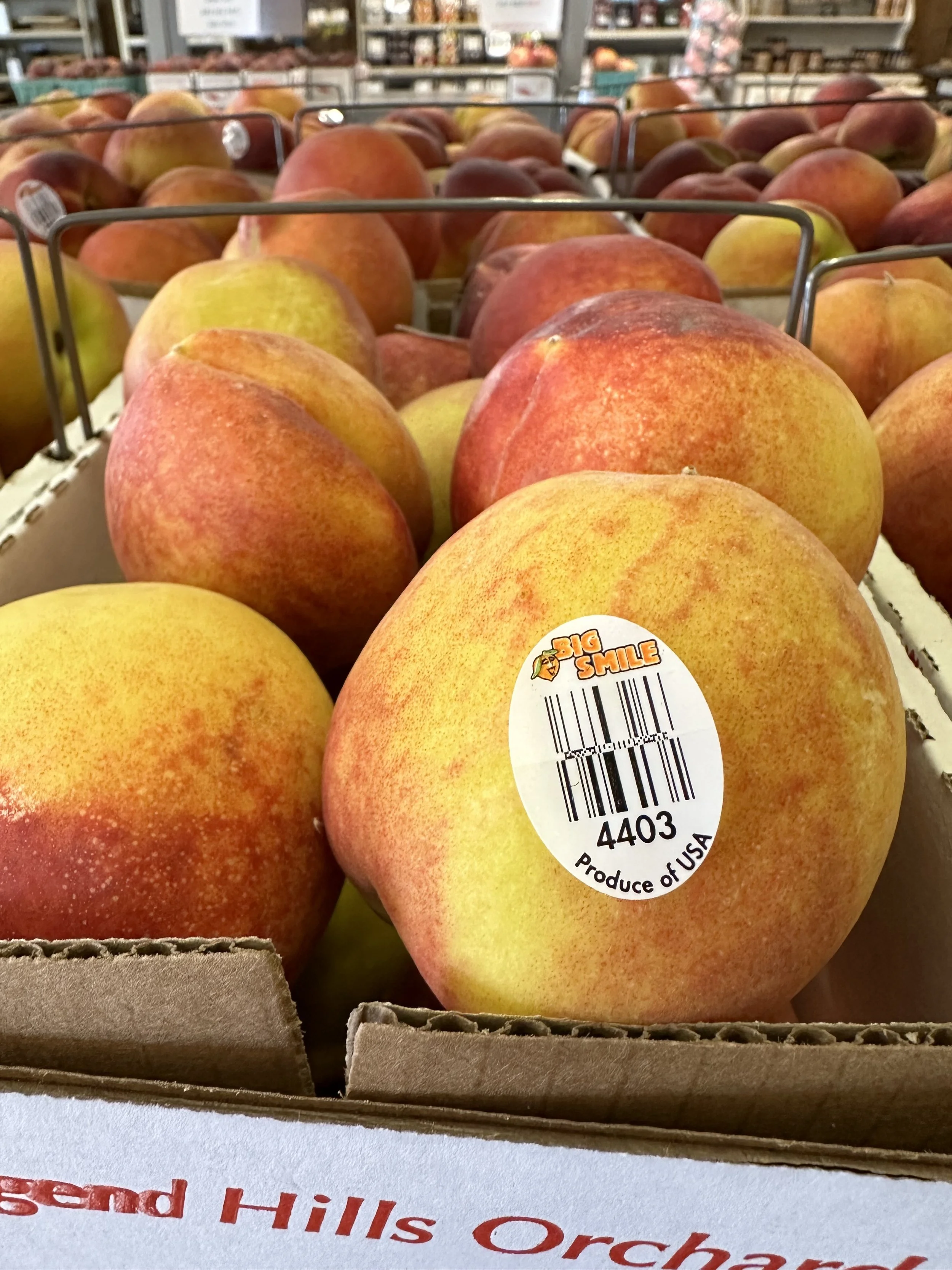 Fresh Produce — Legend Hills Orchard