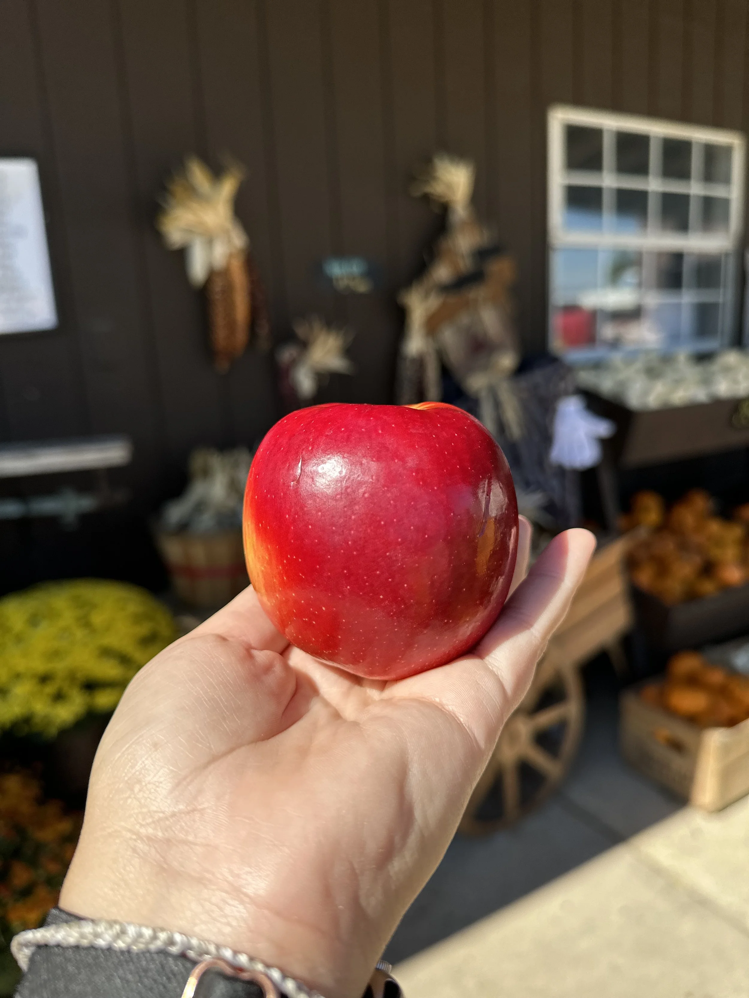 Fresh Produce — Legend Hills Orchard