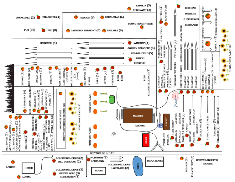 Pick-Your-Own Apples — Legend Hills Orchard