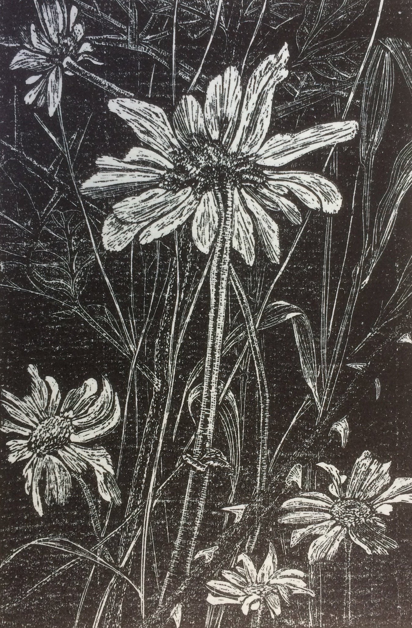 General 5 — IronPress Printmaking - Lancaster