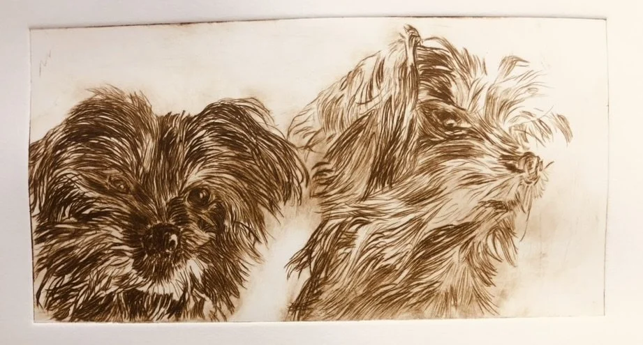 General 5 — IronPress Printmaking - Lancaster