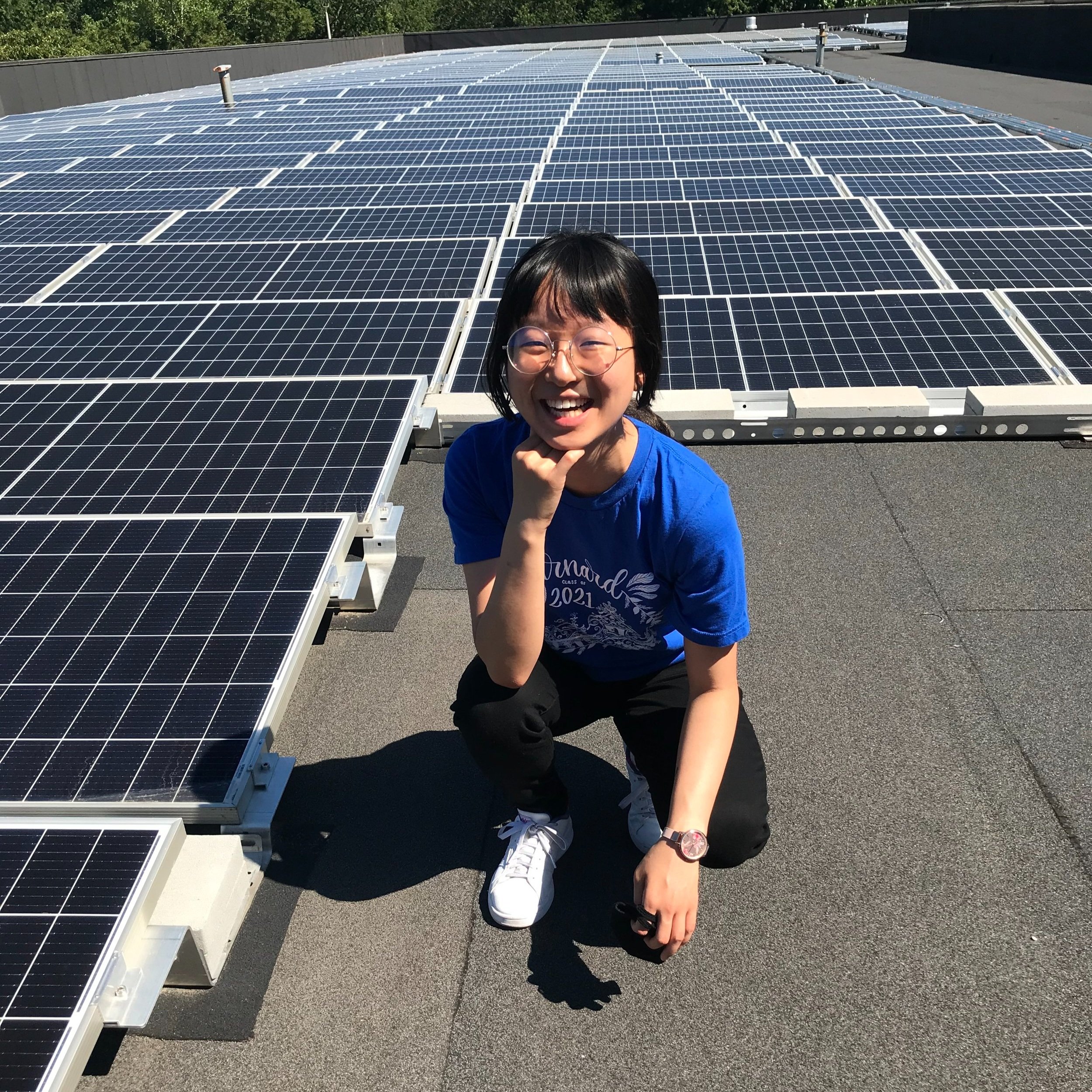 Team — Plankton Energy