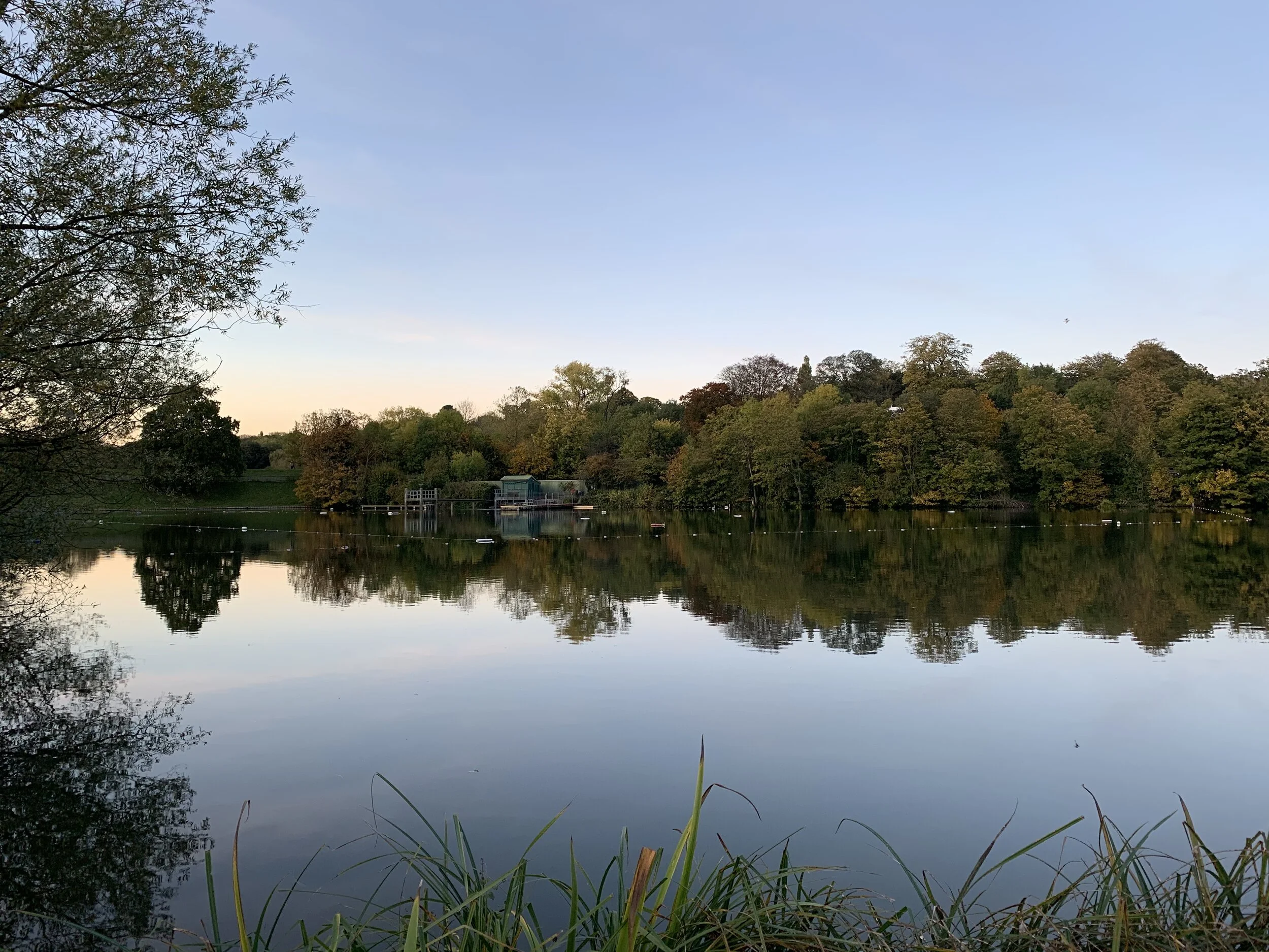 Lissenden Gardens - Swimming