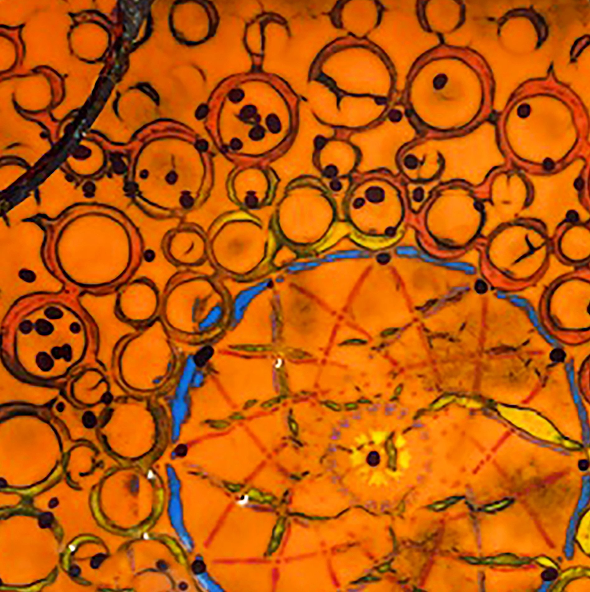 Betsy Mead — NCAGG National Capital Art Glass Guild