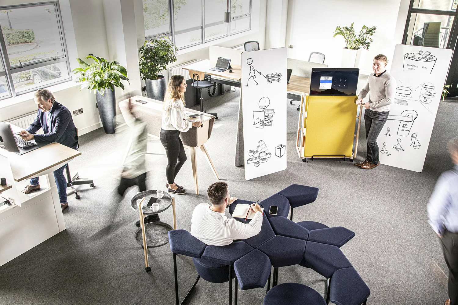 Sympatico — GreyFox