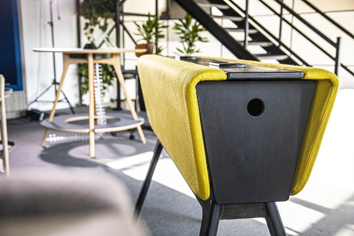 Sympatico — GreyFox