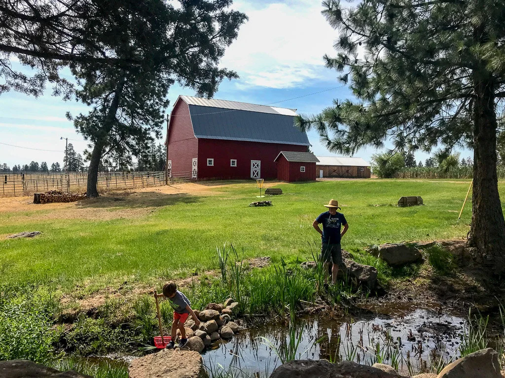 Lazy Z Ranch