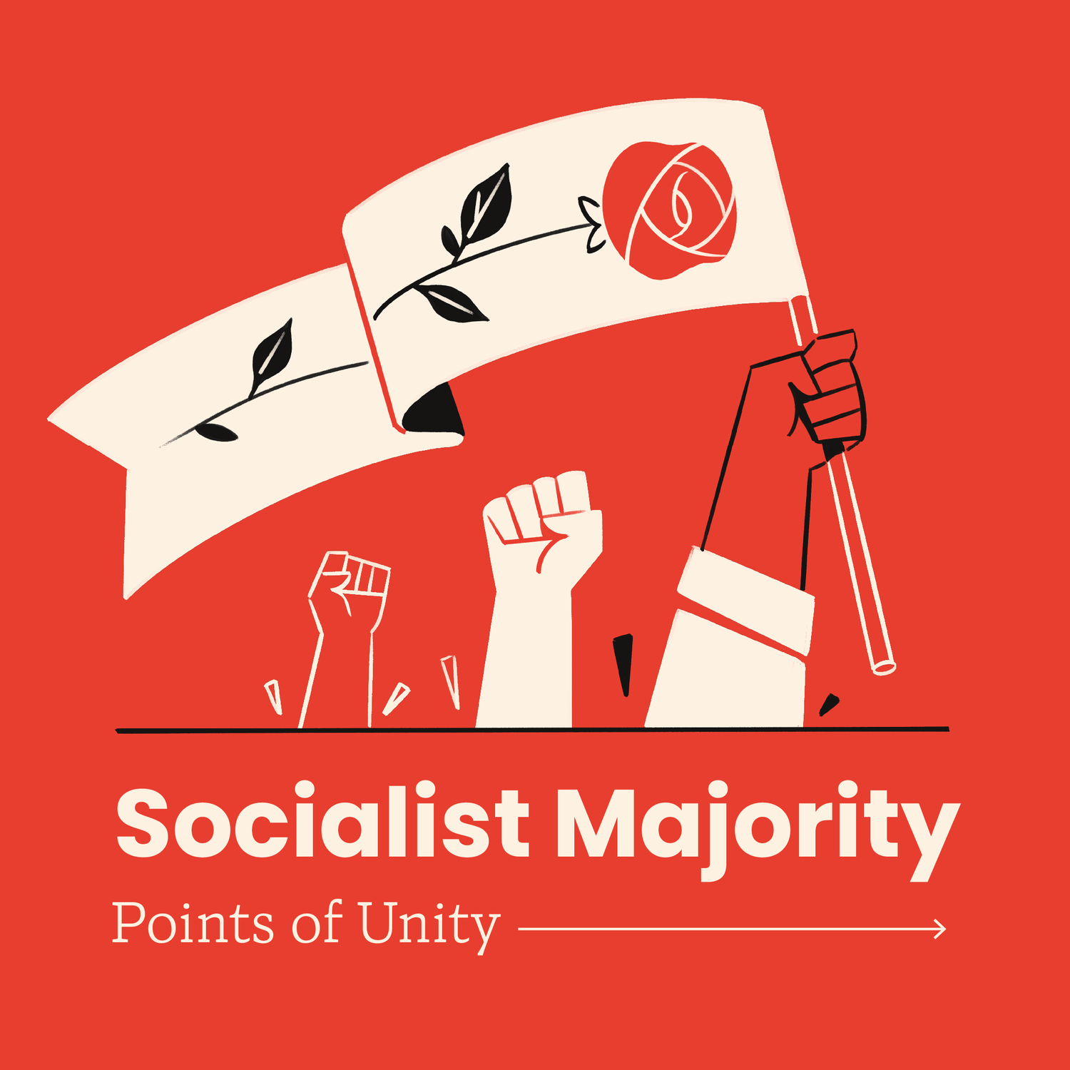Socialist Majority Points of Unity
