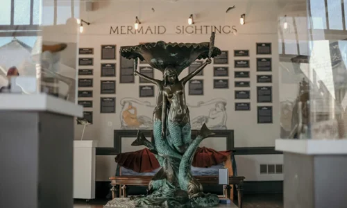 The Worlds First Mermaid Museum. Everything Mermaid