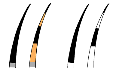 Cat coat: silver and smoke cats — The Little Carnivore