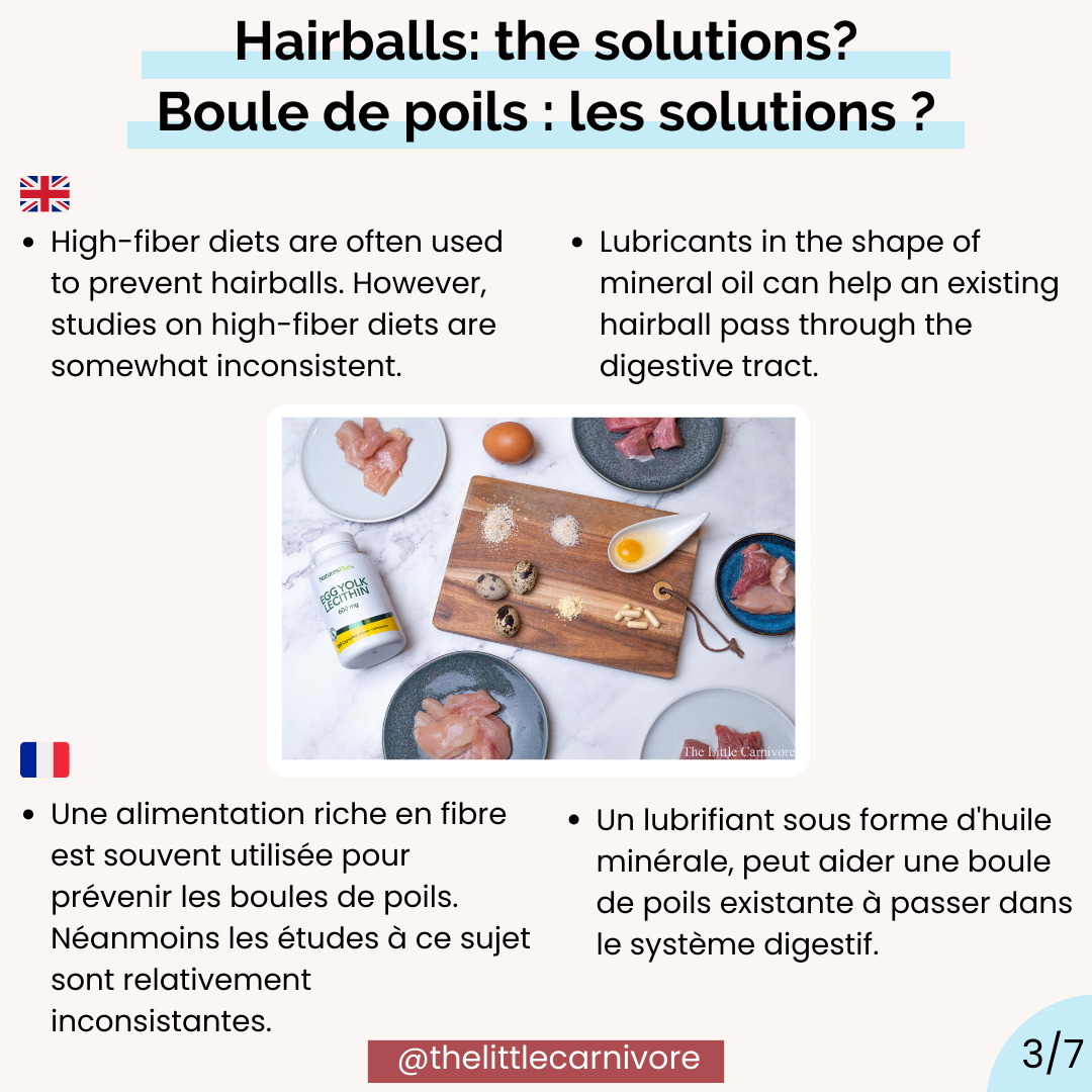 Hairballs in cats: when should you be concerned and how to help? — The ...