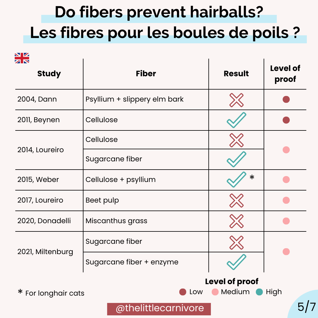 Hairballs in cats: when should you be concerned and how to help? — The ...