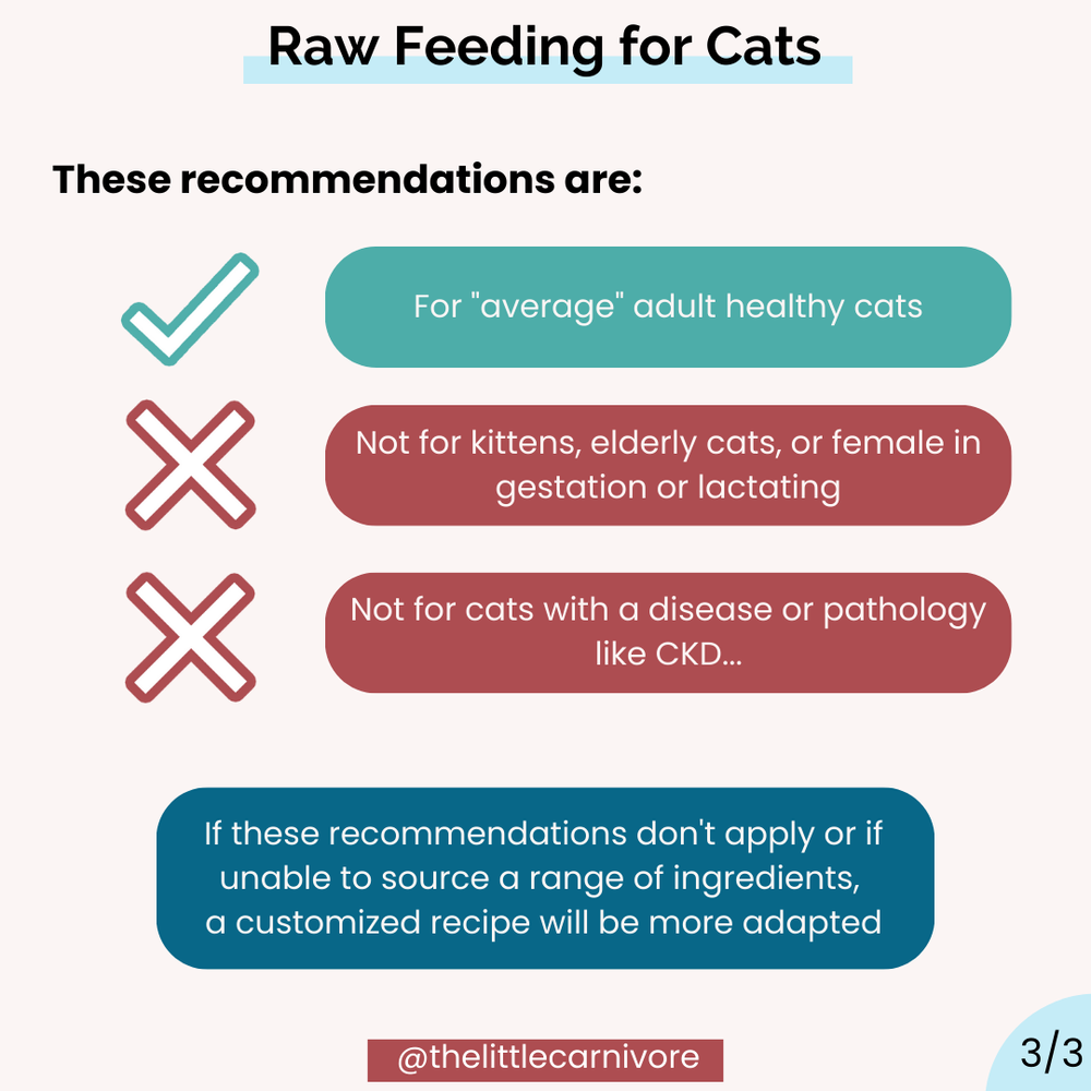 Calculator: raw diet for cats — The Little Carnivore