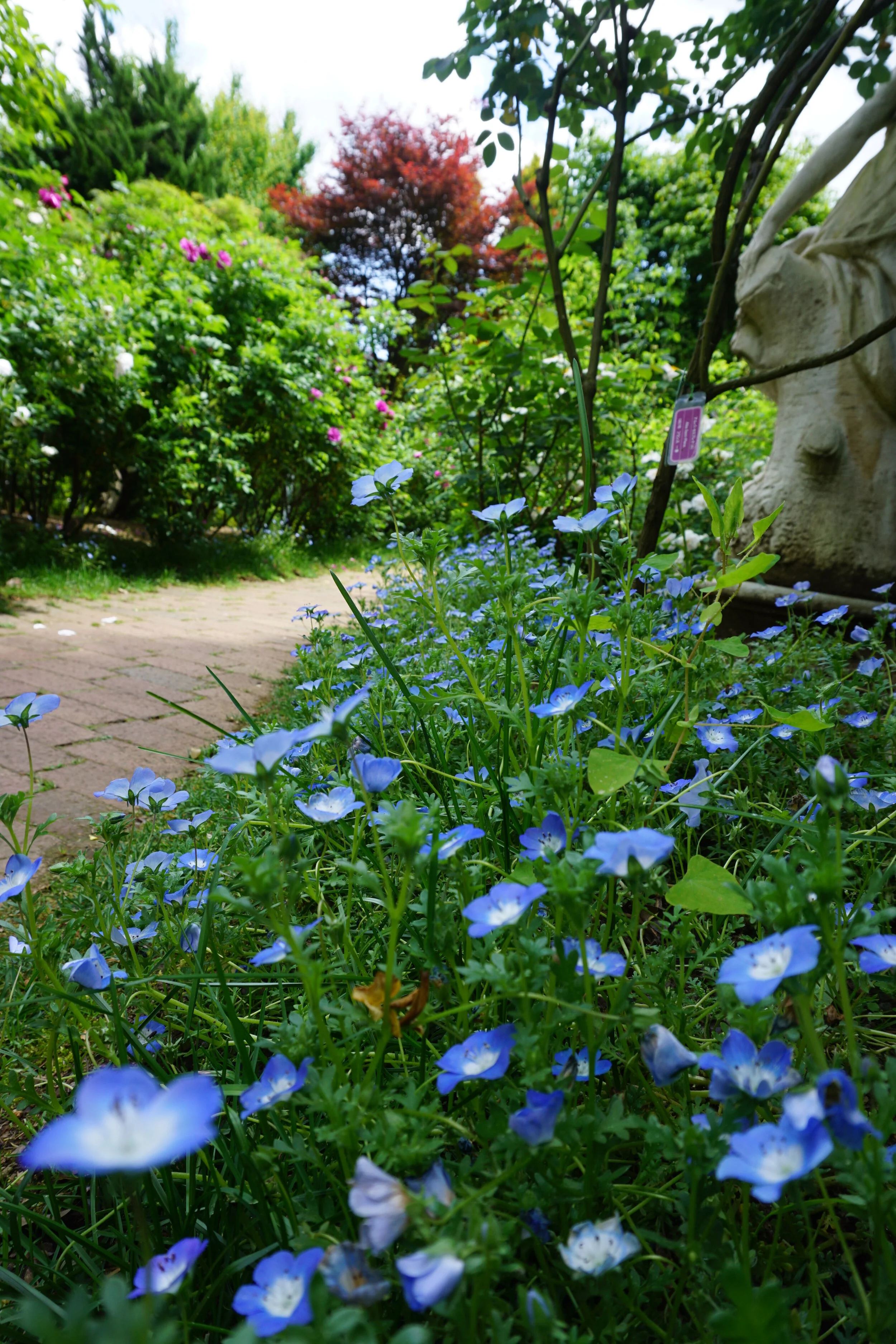 News | Interviews | Podcasts | Psilera Bioscience — Psilera, Inc.