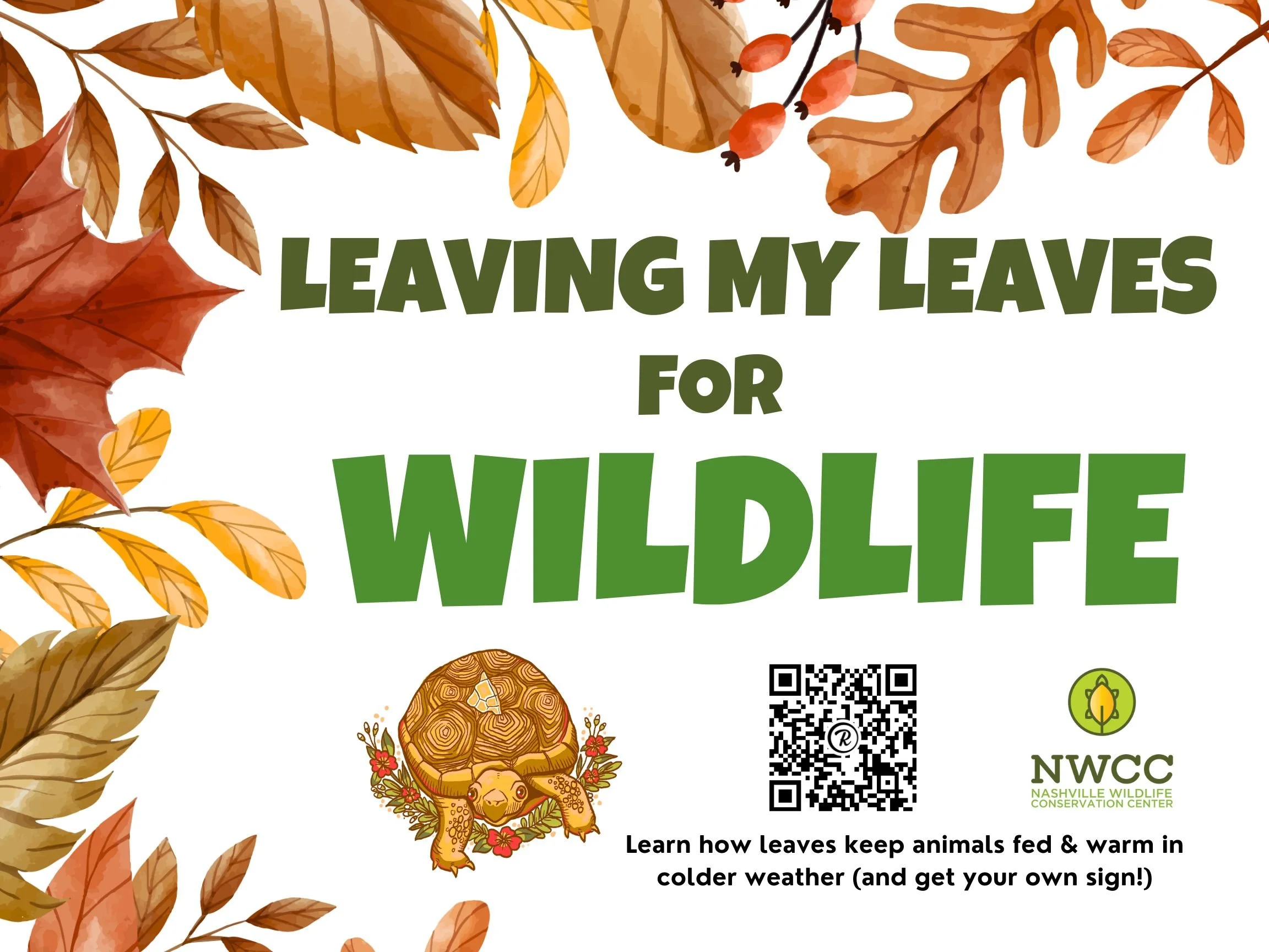 General 1 — Nashville Wildlife Conservation Center