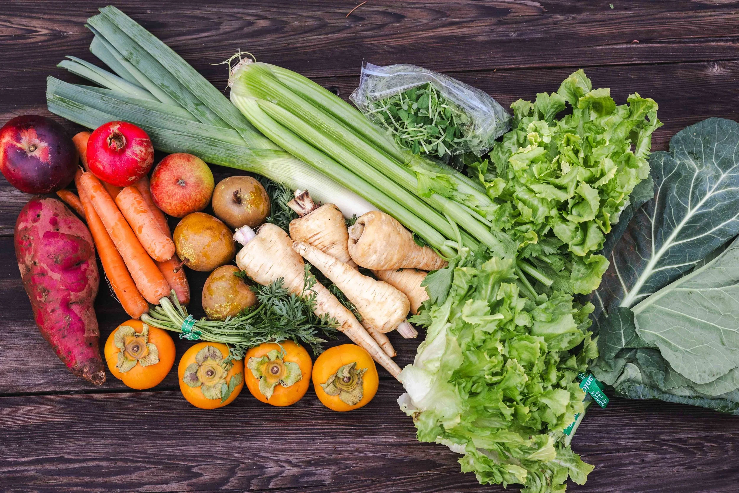 The Weekly Bin — FEED Cooperative