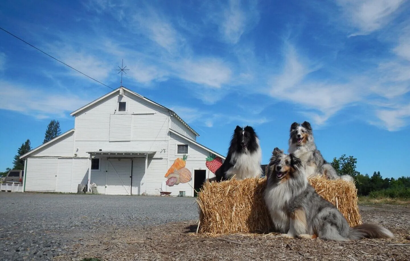 FEED Bin Drop Locations — FEED Cooperative