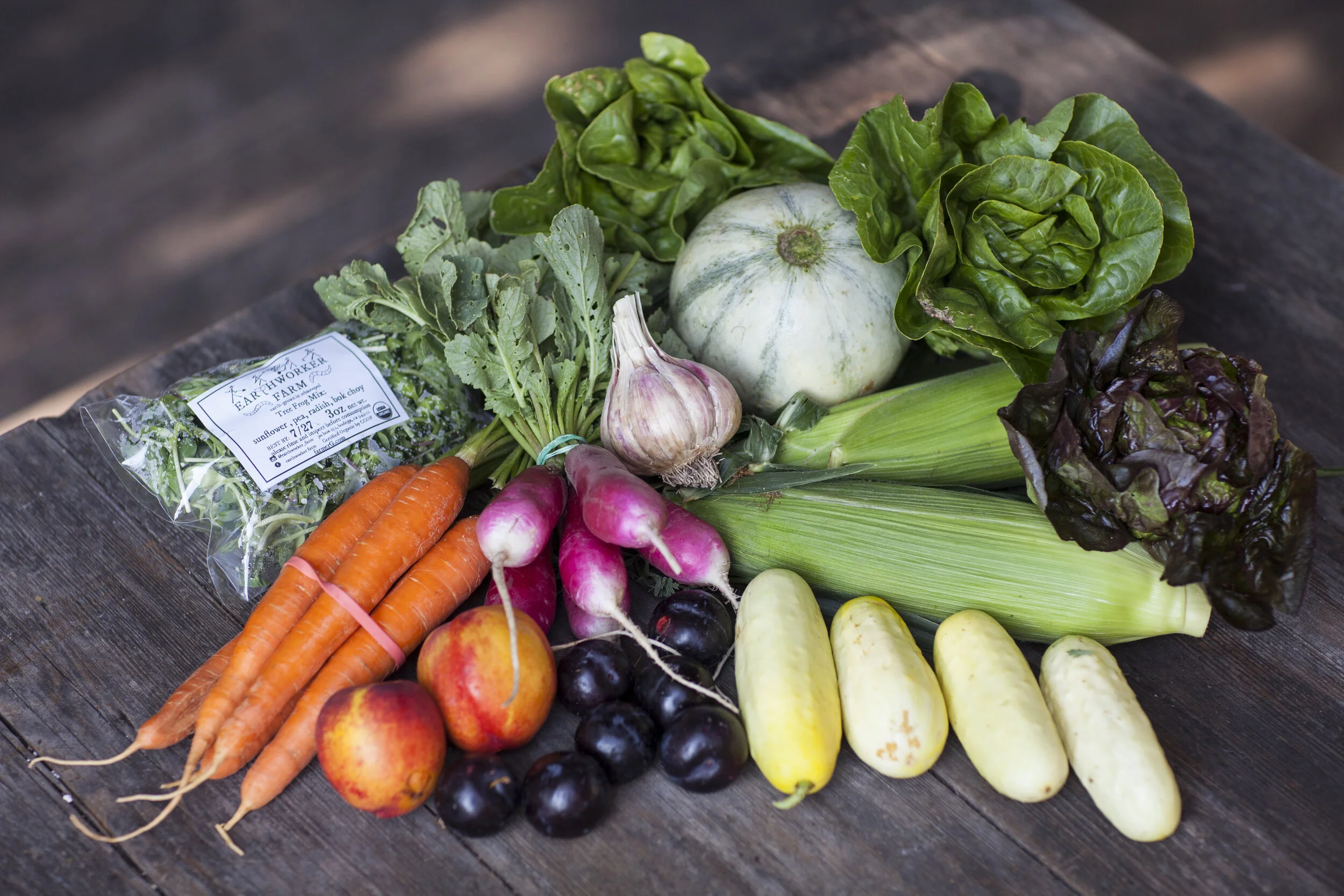 FEED Cooperative