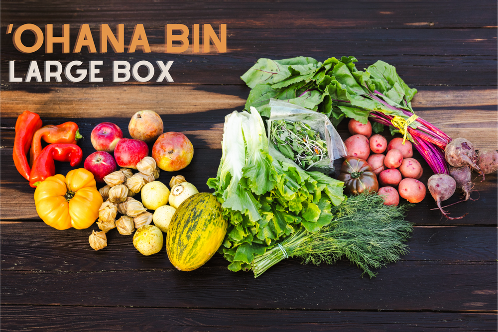 Fresh Organic Produce Delivery - FEED Bin — FEED Cooperative
