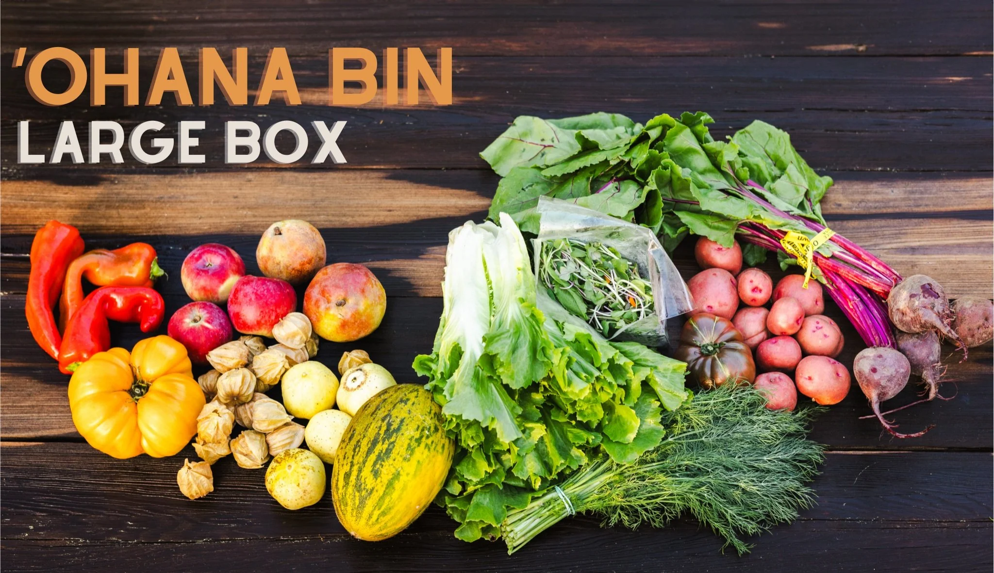 Fresh Produce Delivery - FEED Bin — FEED Cooperative