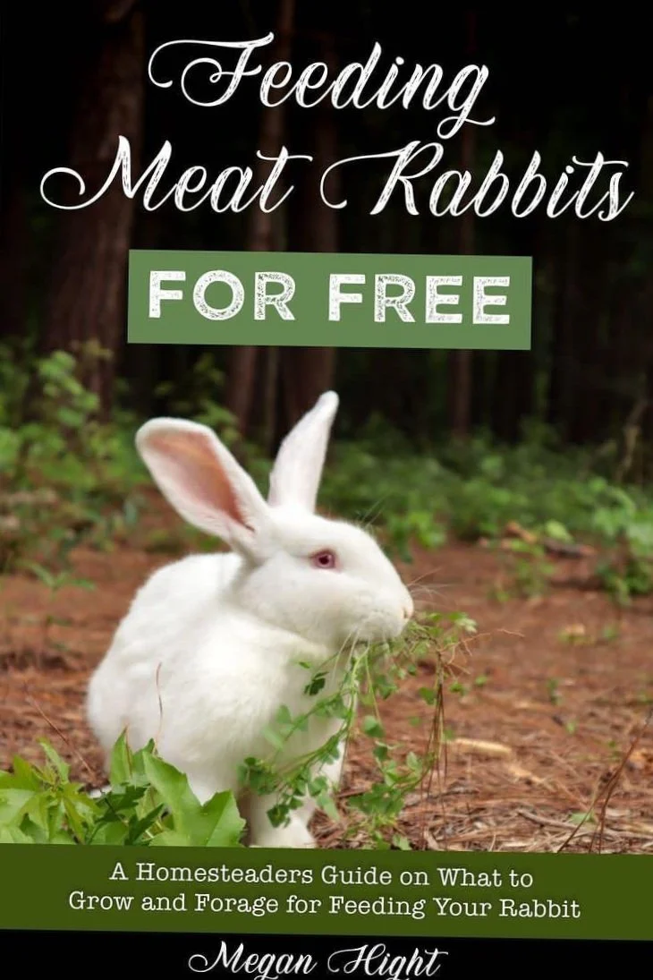 Shop — Living the Hight Life